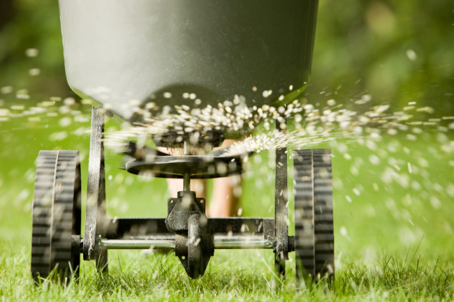 Lawn Fertilizing, Bermuda Run, NC | Plant Pros