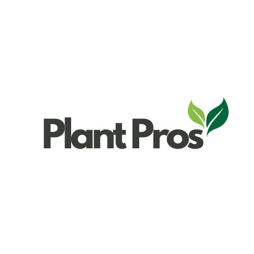 Professional Landscaping and Lawn Care Services | Plant Pros